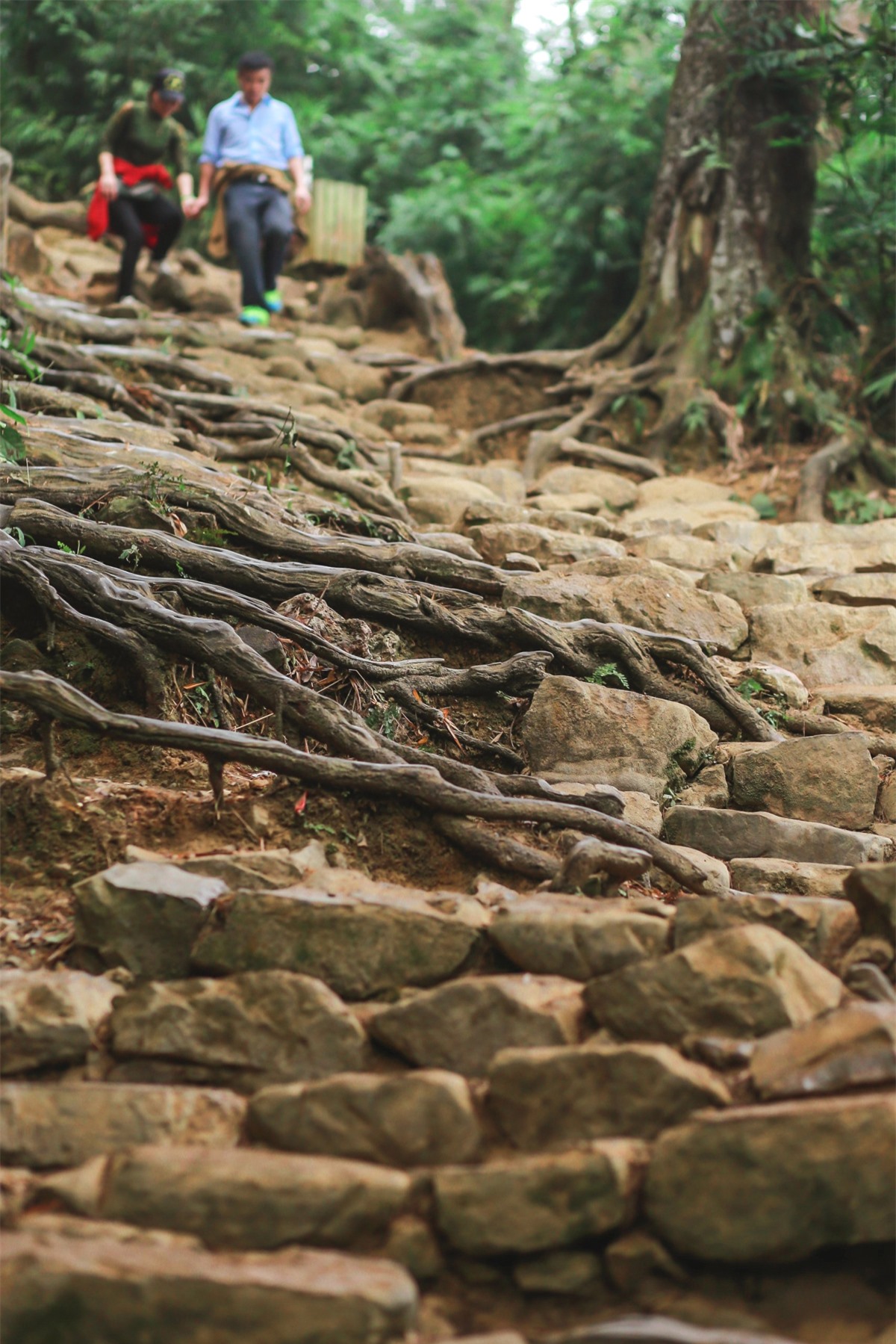 Chiêm ngưỡng 'bức tranh mùa thu' tuyệt đẹp của Yên Tử - Tạp chí Doanh ...